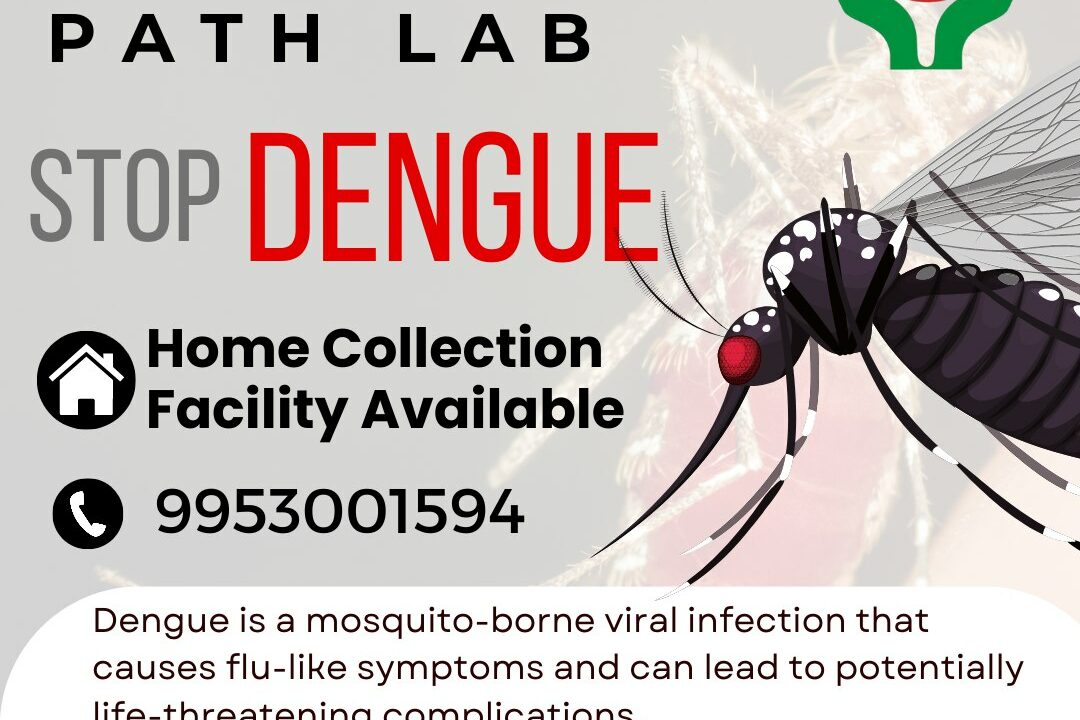 Get Well Path Labs - Path Lab in Greater Noida