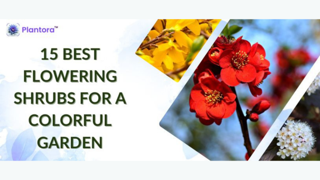 15 Best Flowering Shrubs