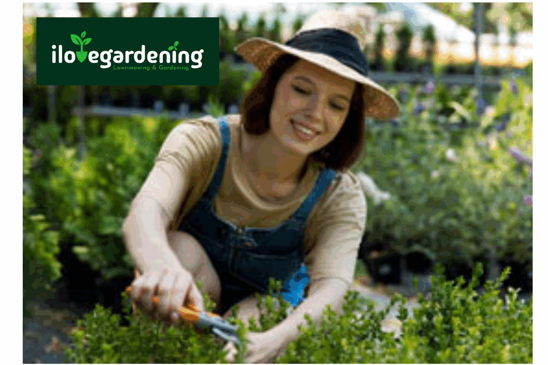 Lawn Mowing Hoppers Crossing - I love Gardening